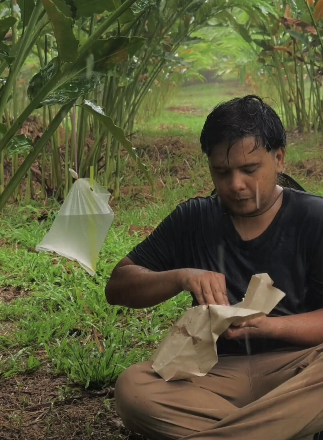 10 tahun tanam Bunga Kantan: Petani ini kongsi rahsia kejayaan RM8,000 ...